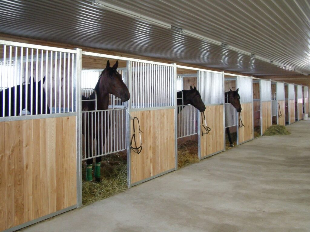 System Equine – Fencing, Stalls, Tack & Horse Equipment